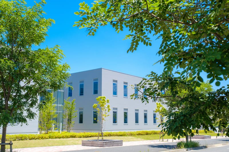 Home | Natura Root Labs